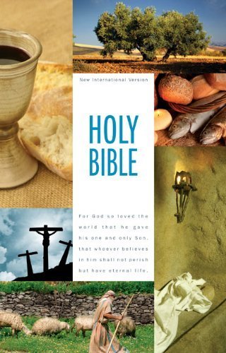 NIV Holy Bible, Textbook Edition by Zondervan published by Zondervan ...