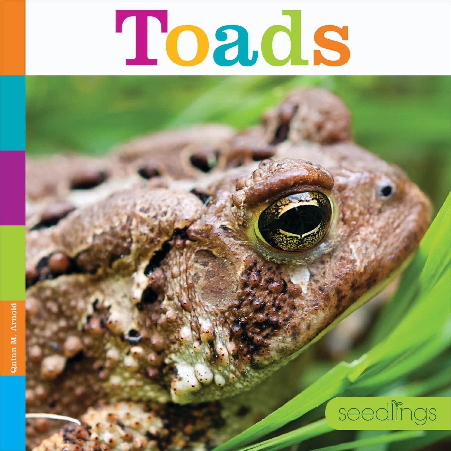 Toads by Quinn M. Arnold | Goodreads
