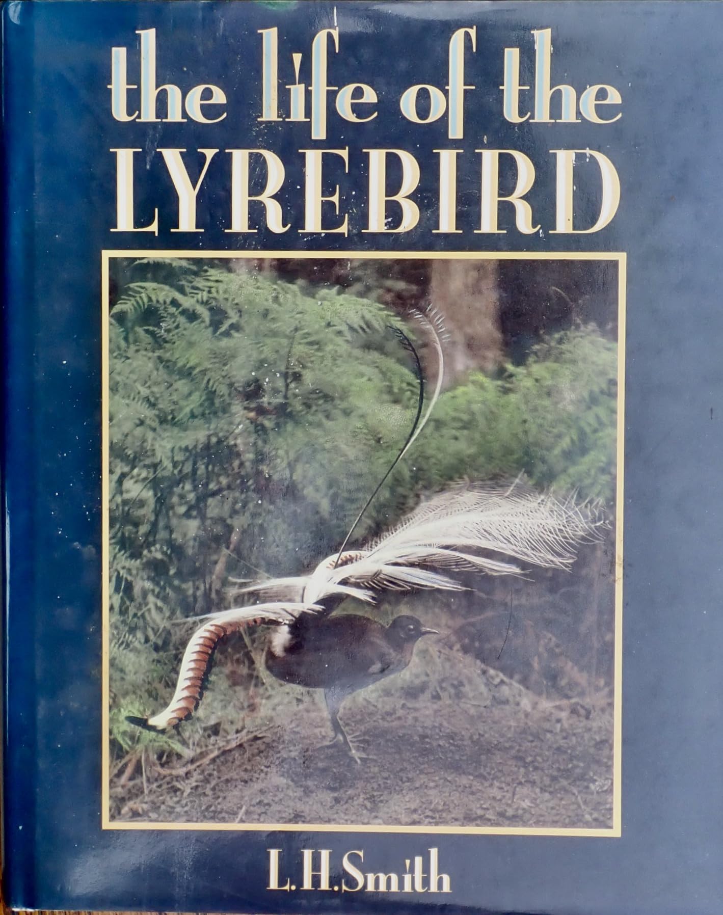 The life of the lyrebird by L. H. Smith | Goodreads