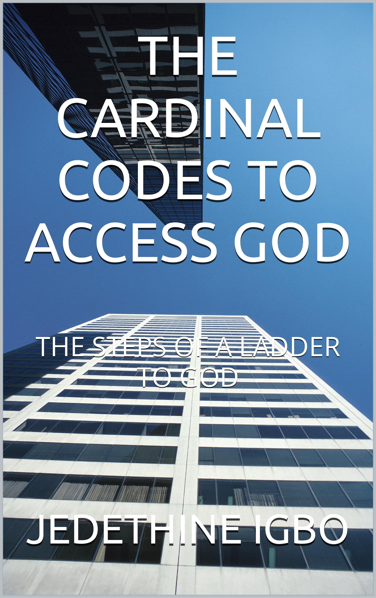 THE CARDINAL CODES TO ACCESS GOD: THE STEPS OF A LADDER TO GOD by ...
