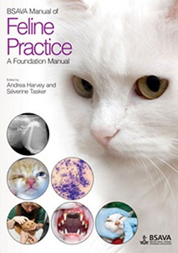 BSAVA Manual of Feline Practice: A Foundation Manual (BSAVA Manuals) (BSAVA British Small Animal ...