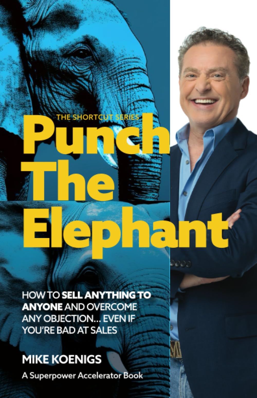 Punch The Elephant: How To Sell Anything To Anyone And Overcome Any ...