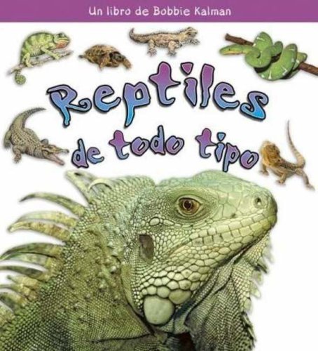 Que Son Los Reptiles? / Waht is a Reptile? (La Ciencia De Los Seres ...