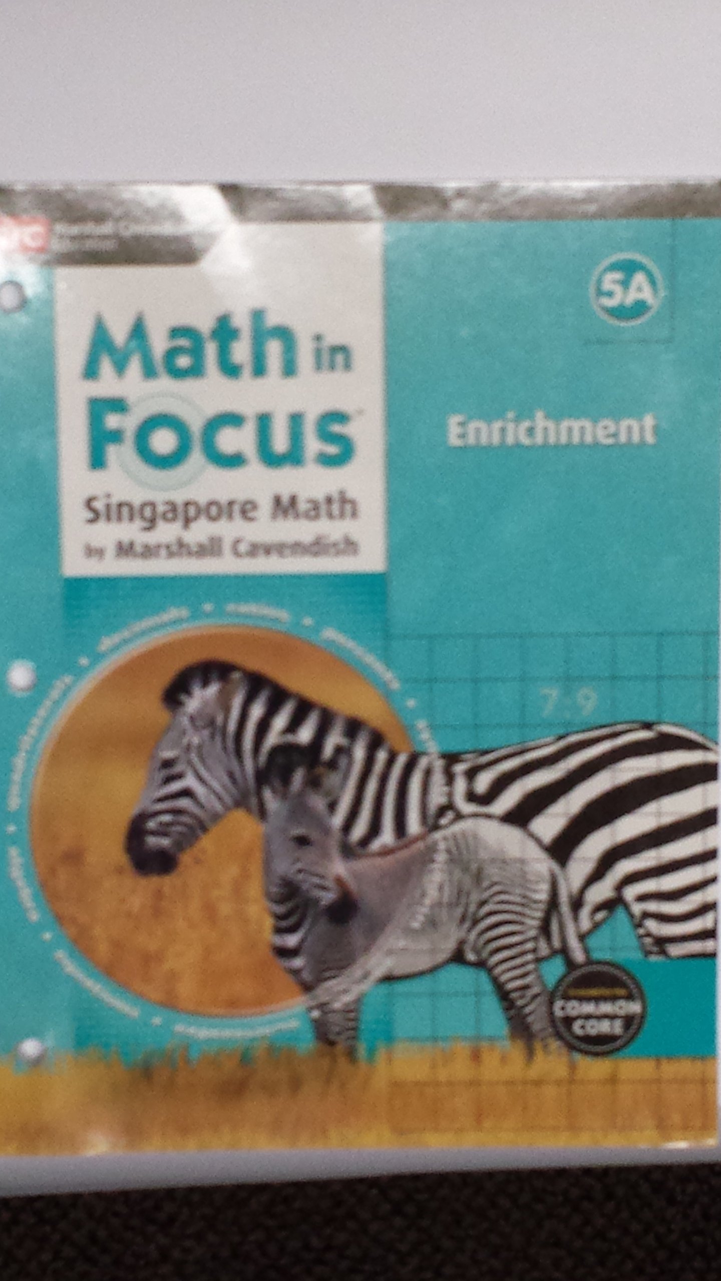 Math in Focus Enrichment Blackline Master a Grade 5 by Houghton Mifflin Harcourt | Goodreads