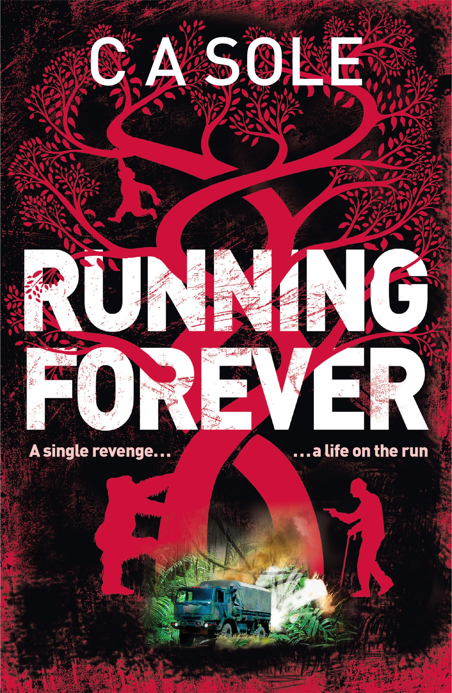 RUNNING FOREVER: A Single Revenge, a Life on the Run by CA Sole | Goodreads