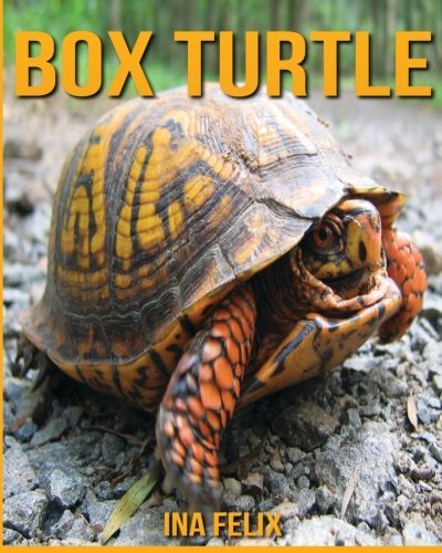 Box Turtle: Children Book of Fun Facts & Amazing Photos on Animals in ...