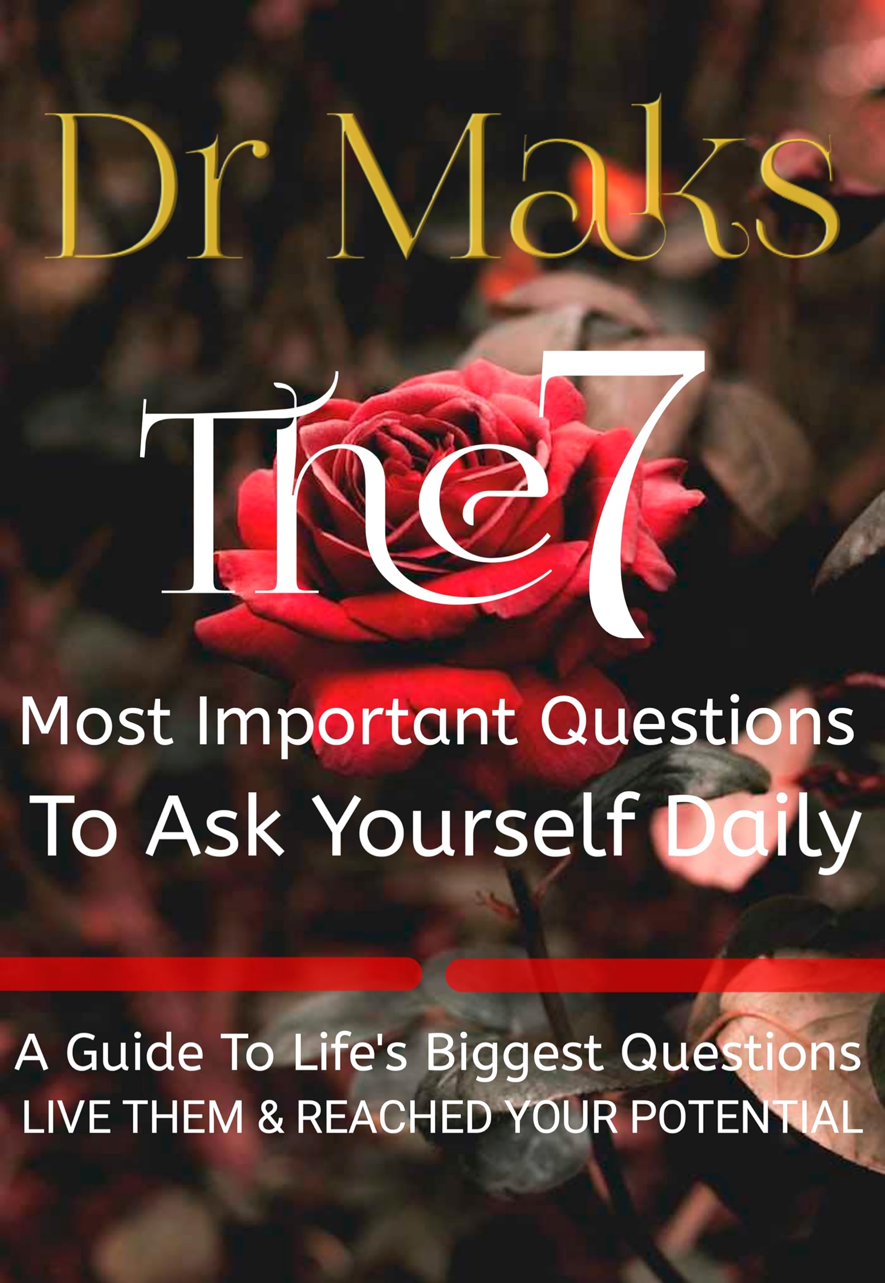 The Seven Most Important Questions To Ask Yourself Daily: A Guide To ...
