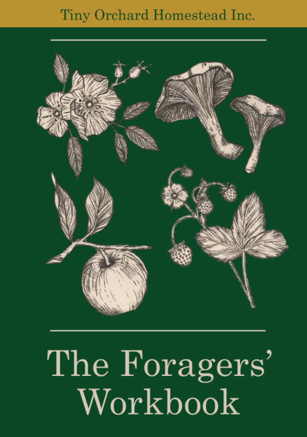 The Foragers' Workbook: Plan for Successful Wild Foraging of Medicinal ...