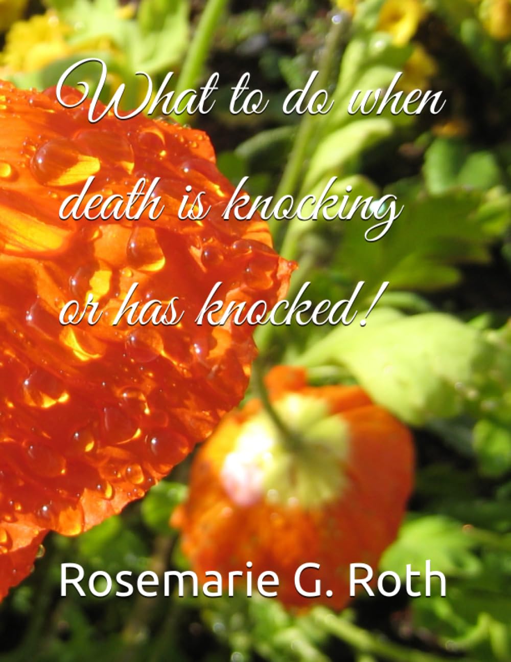 What to do when death is knocking or has knocked! by Rosemarie G. Roth ...