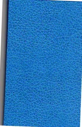 The Murder of the Romanovs: The Authentic Account by Paul Bulygin ...