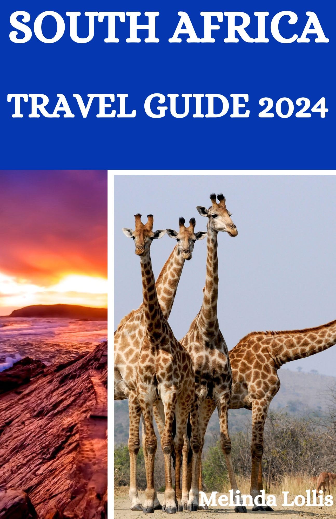SOUTH AFRICA TRAVEL GUIDE 2024: Explore South Africa with the 2024 ...
