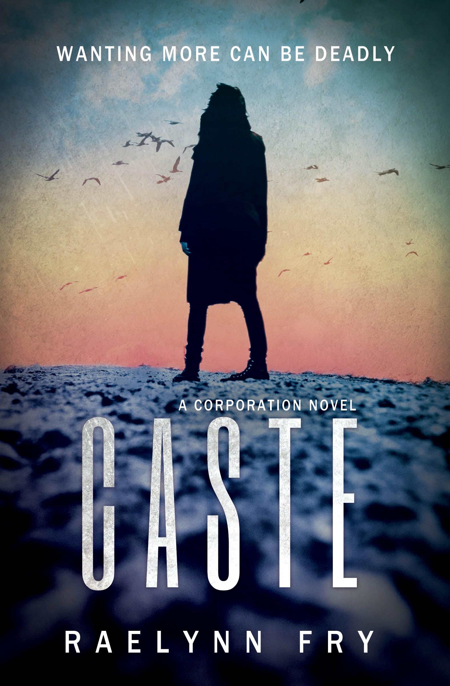 Caste: A Corporation Novel, Book 1 (The Corporation) by RaeLynn Fry ...
