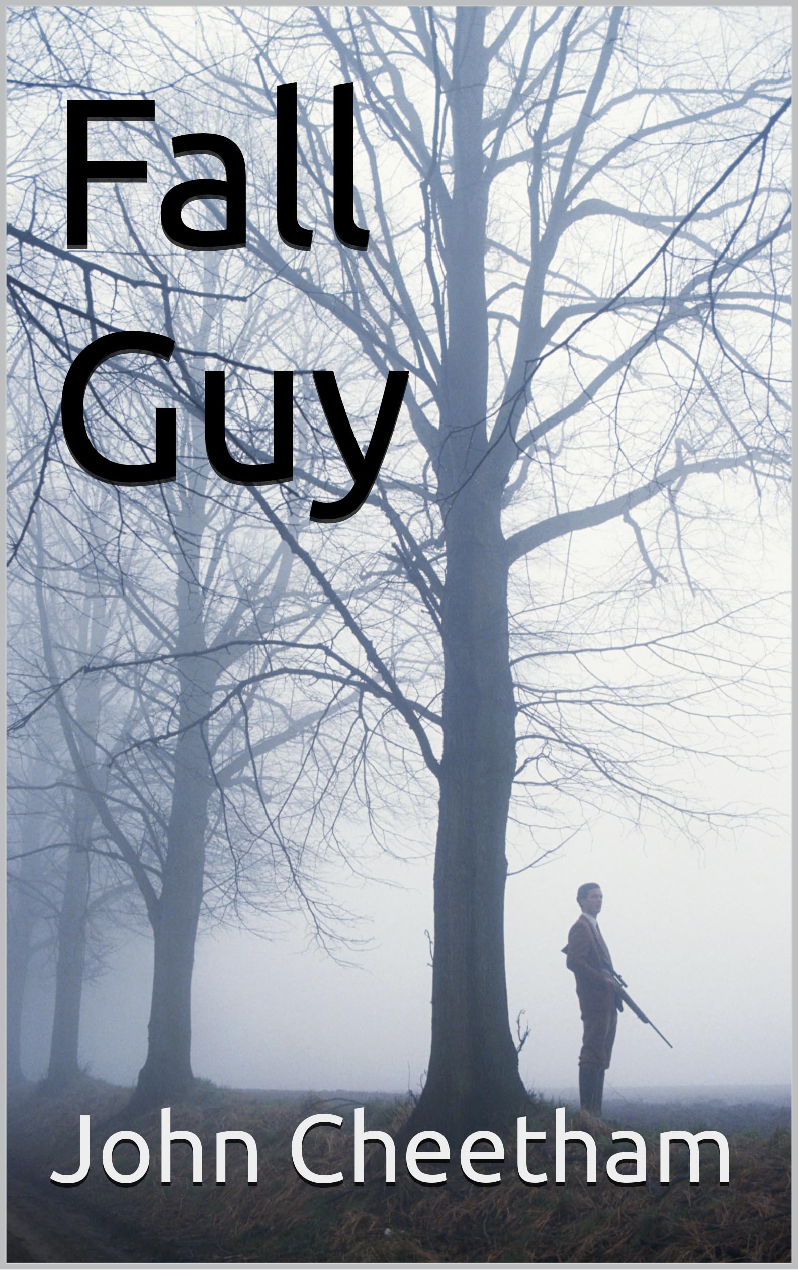 Fall Guy by John Cheetham | Goodreads