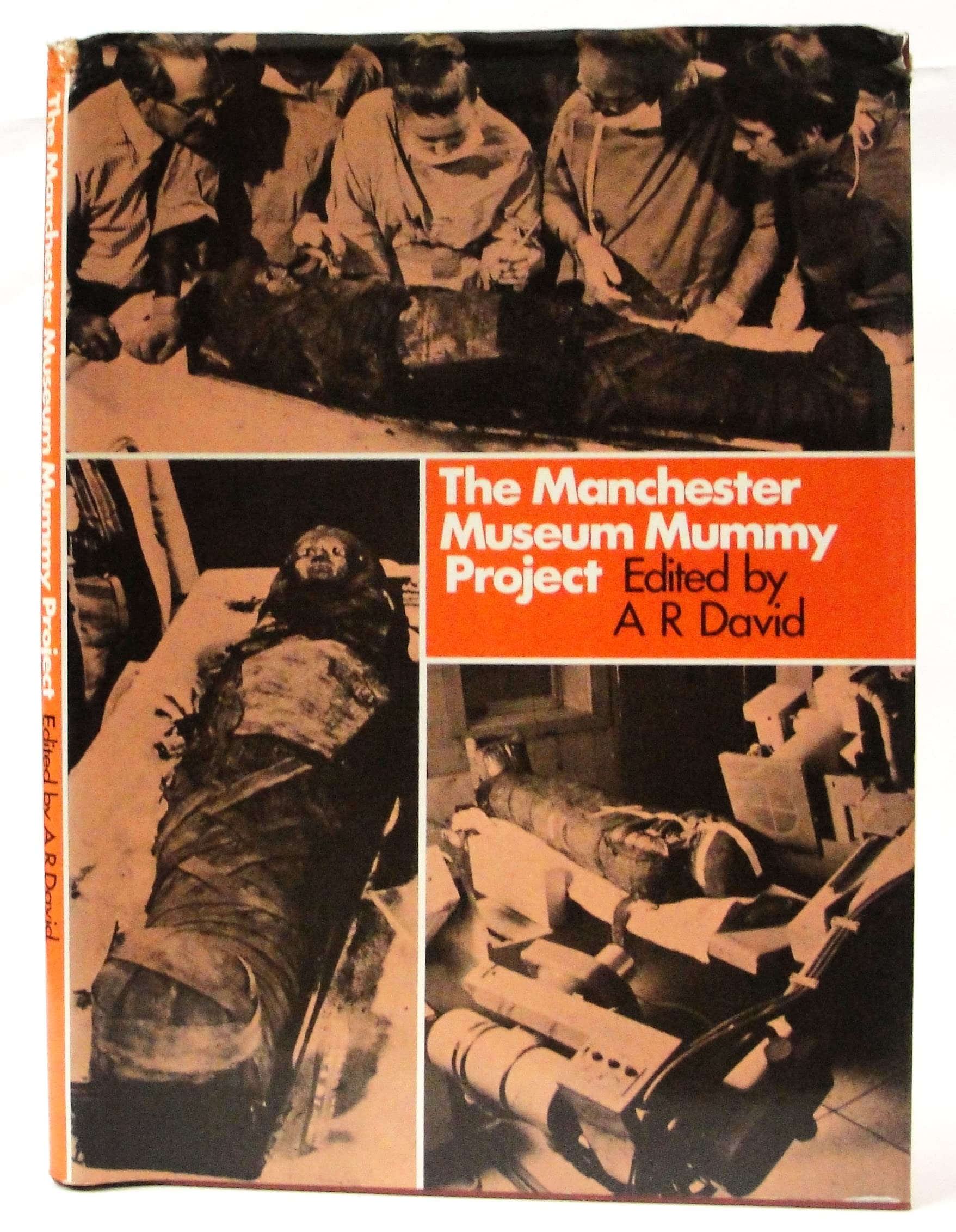 The Manchester Museum mummy project: Multidisciplinary research on ...