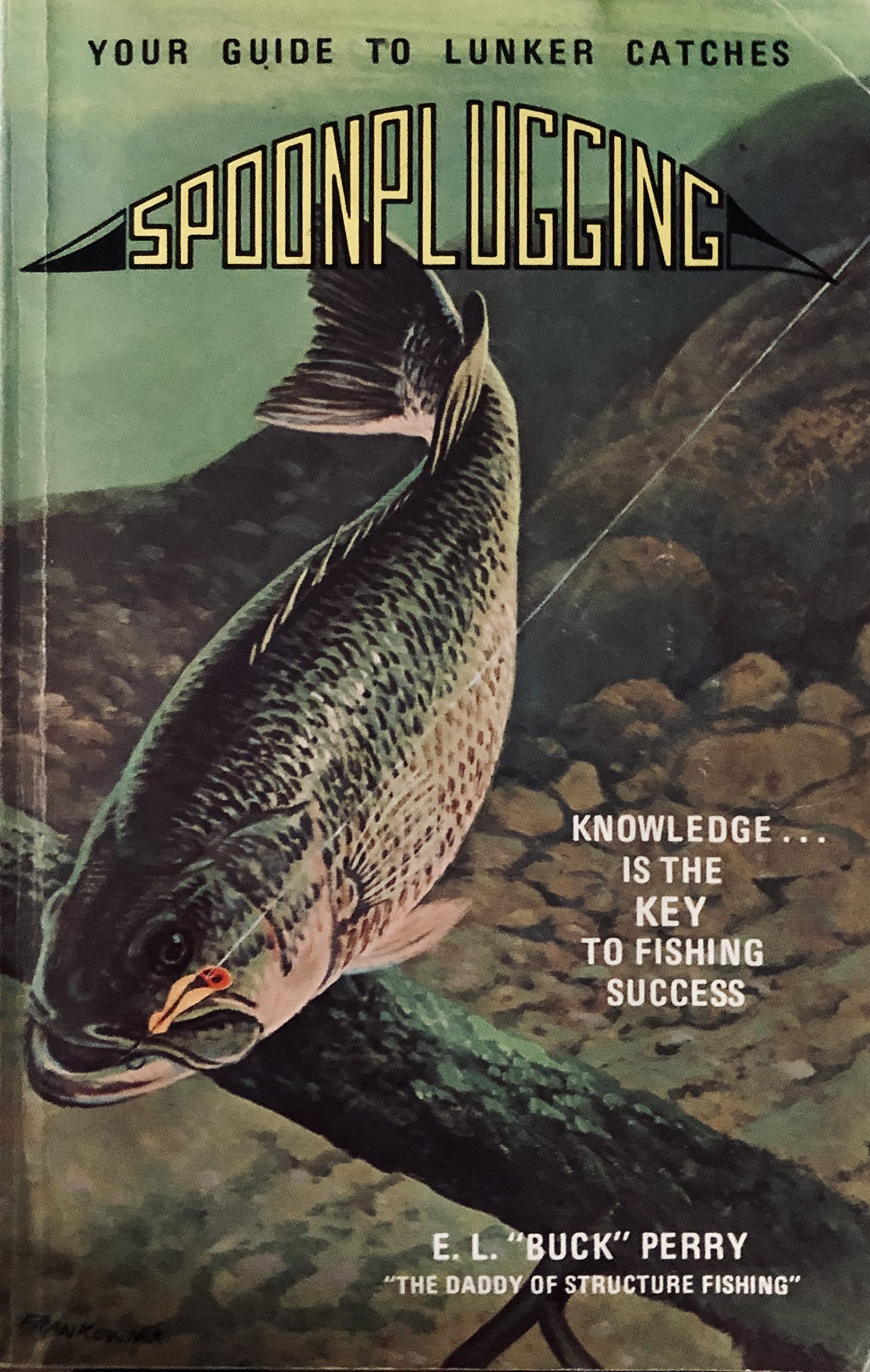 SPOONPLUGGING Your Guide to Lunker Catches by E.L. Buck Perry | Goodreads
