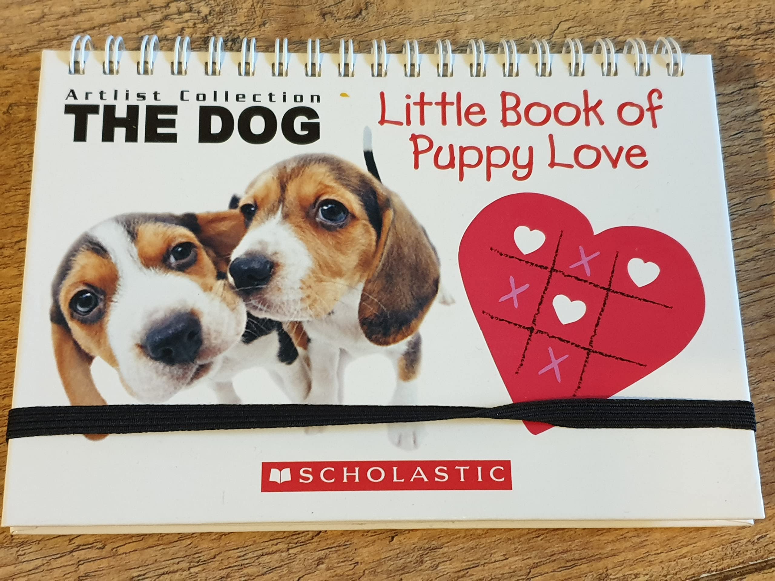 Little Book of Puppy Love: A Valentine Book for Best Friends by Howie ...