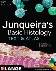 Junqueira's Basic Histology: Text and Atlas, Thirteenth Edition (13th ...