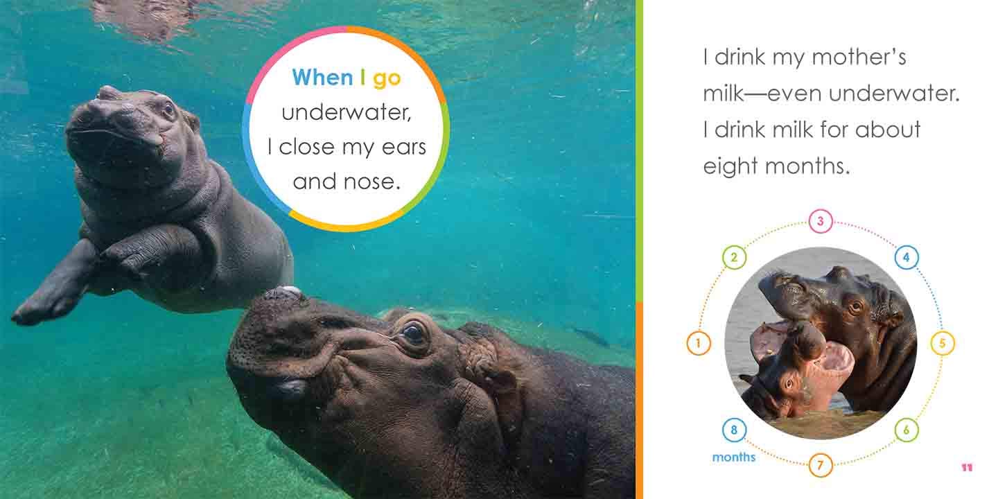 Baby Hippopotamuses (Starting Out) by Kate Riggs | Goodreads