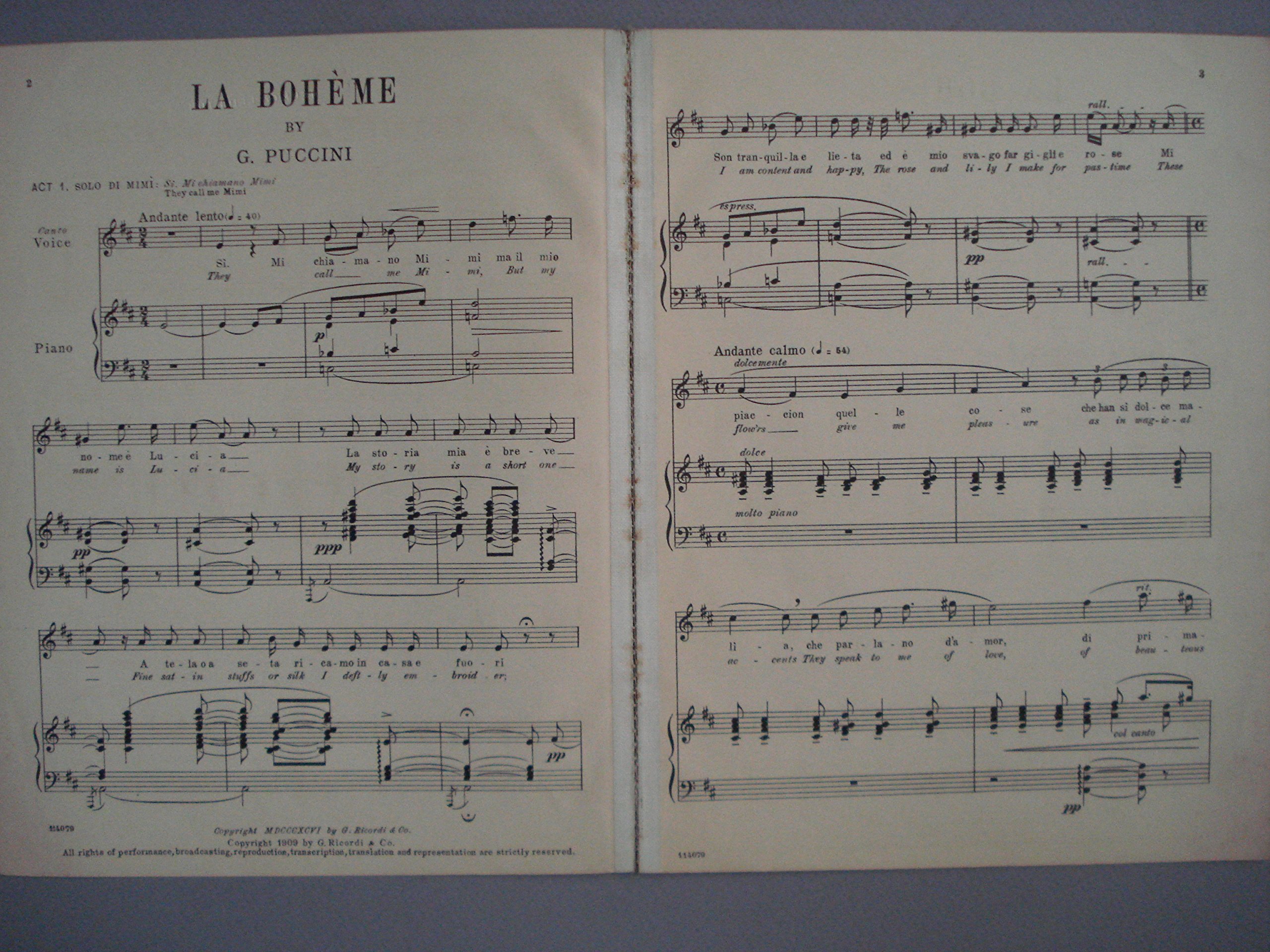 Si, mi chiamo Mimi (Mimi's Aria) from La Boheme by Giacomo Puccini ...