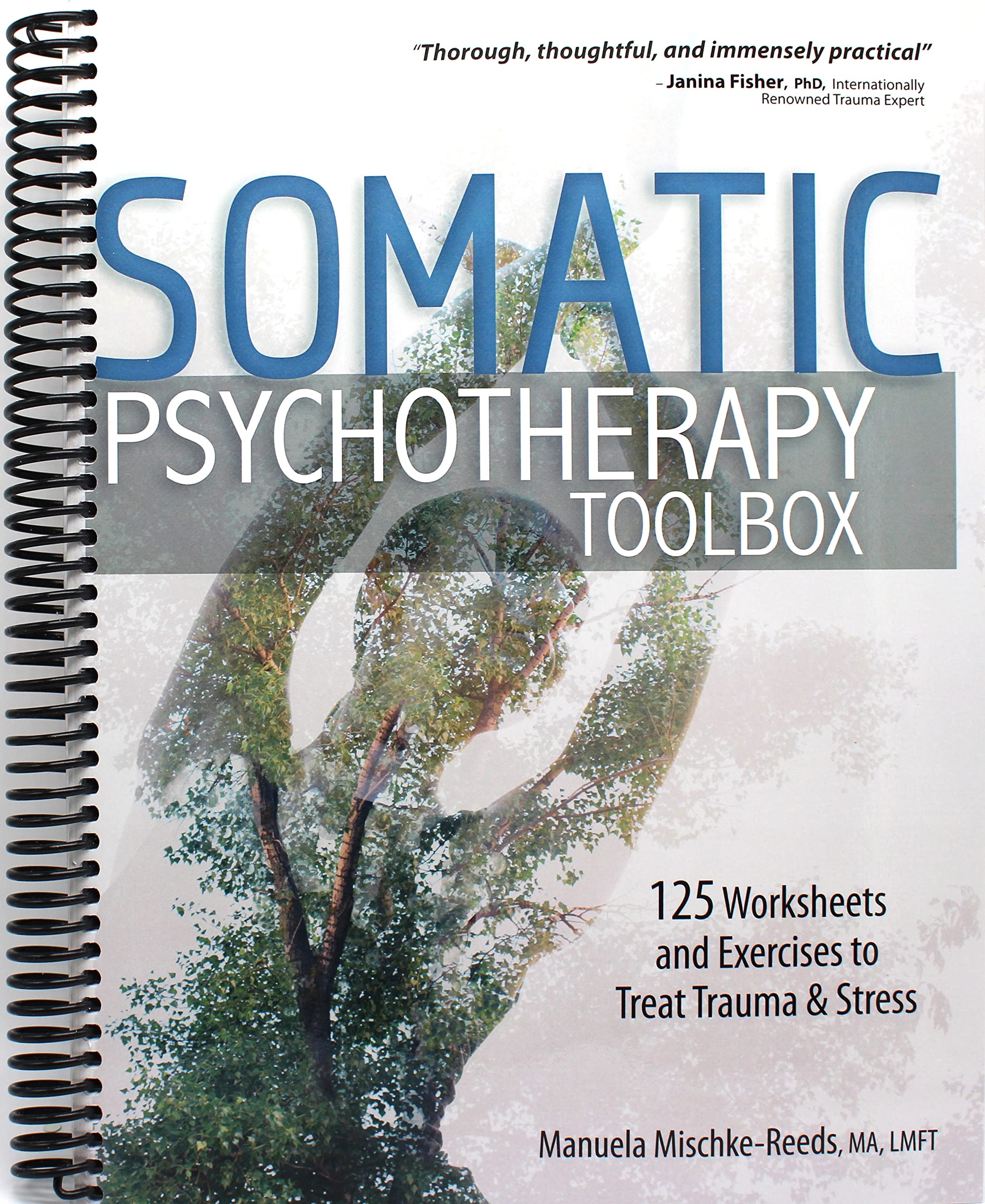 Somatic Psychotherapy Toolbox: 125 Worksheets and Exercises for Trauma & Stress by Manuela ...