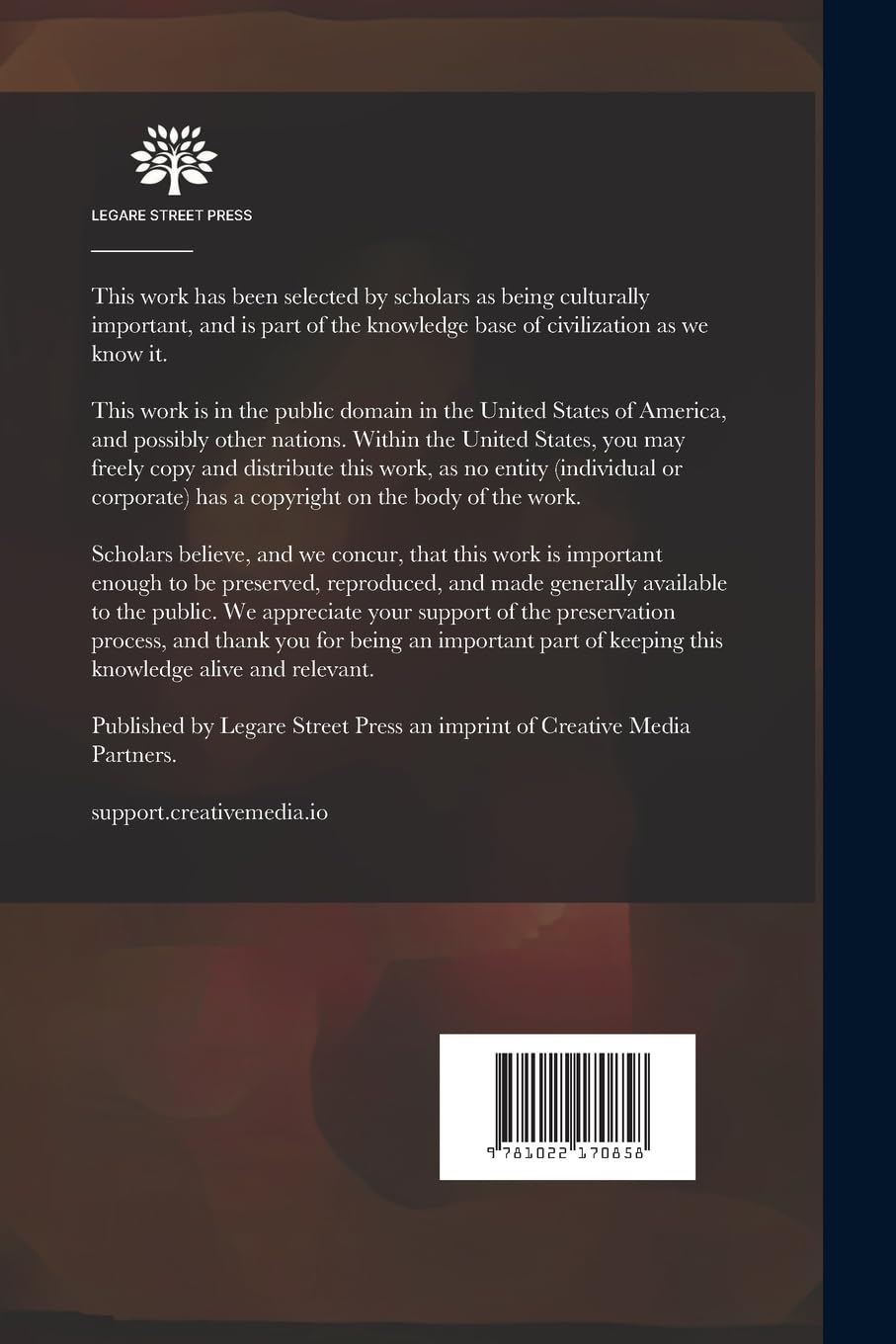 A Danvis Pioneer; a Story of one of Ethan Allen's Green Mountain Boys ...