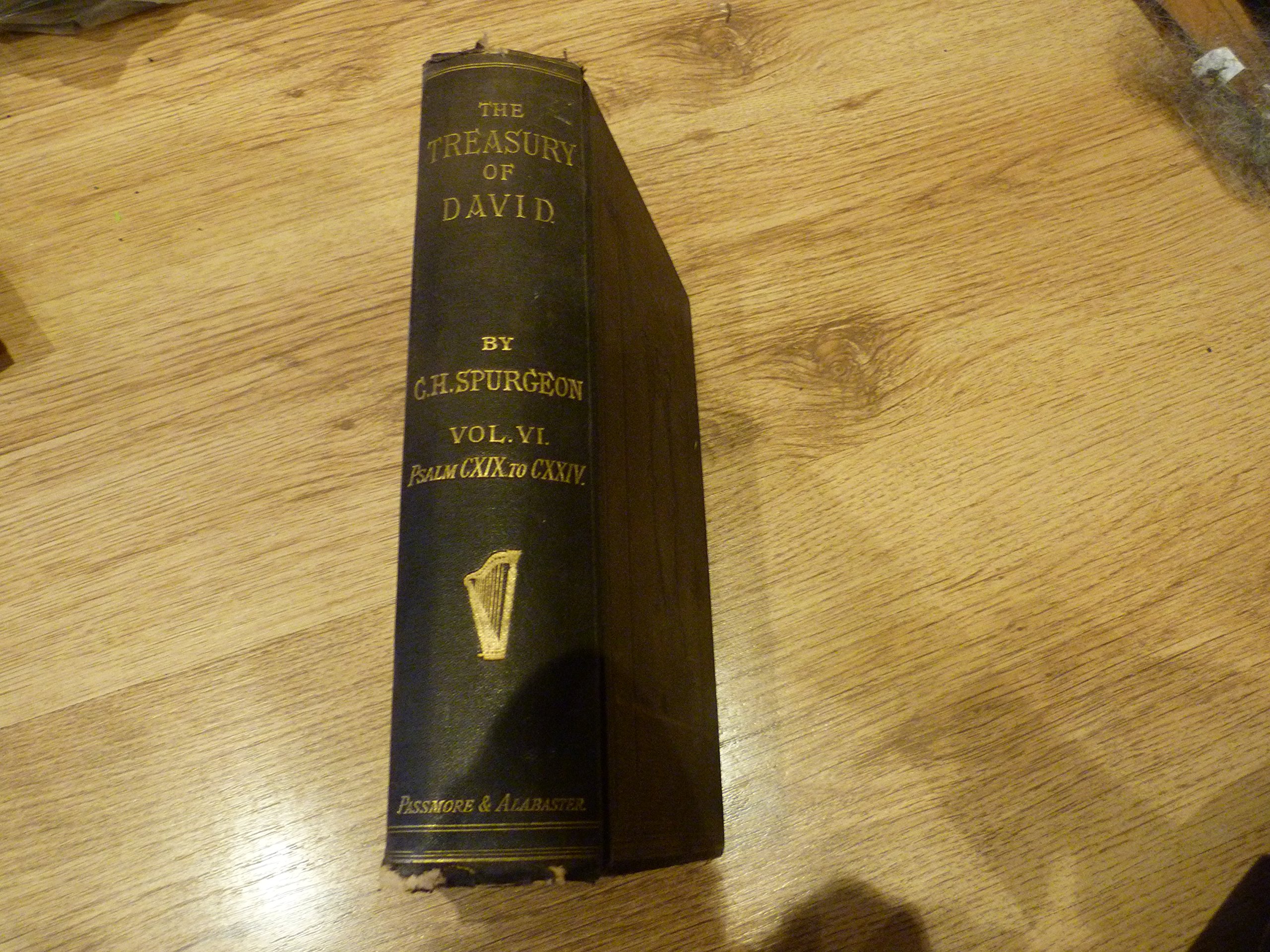 The Treasury of David: Volume 6: Psalm 119 to 124 by Charles Haddon ...
