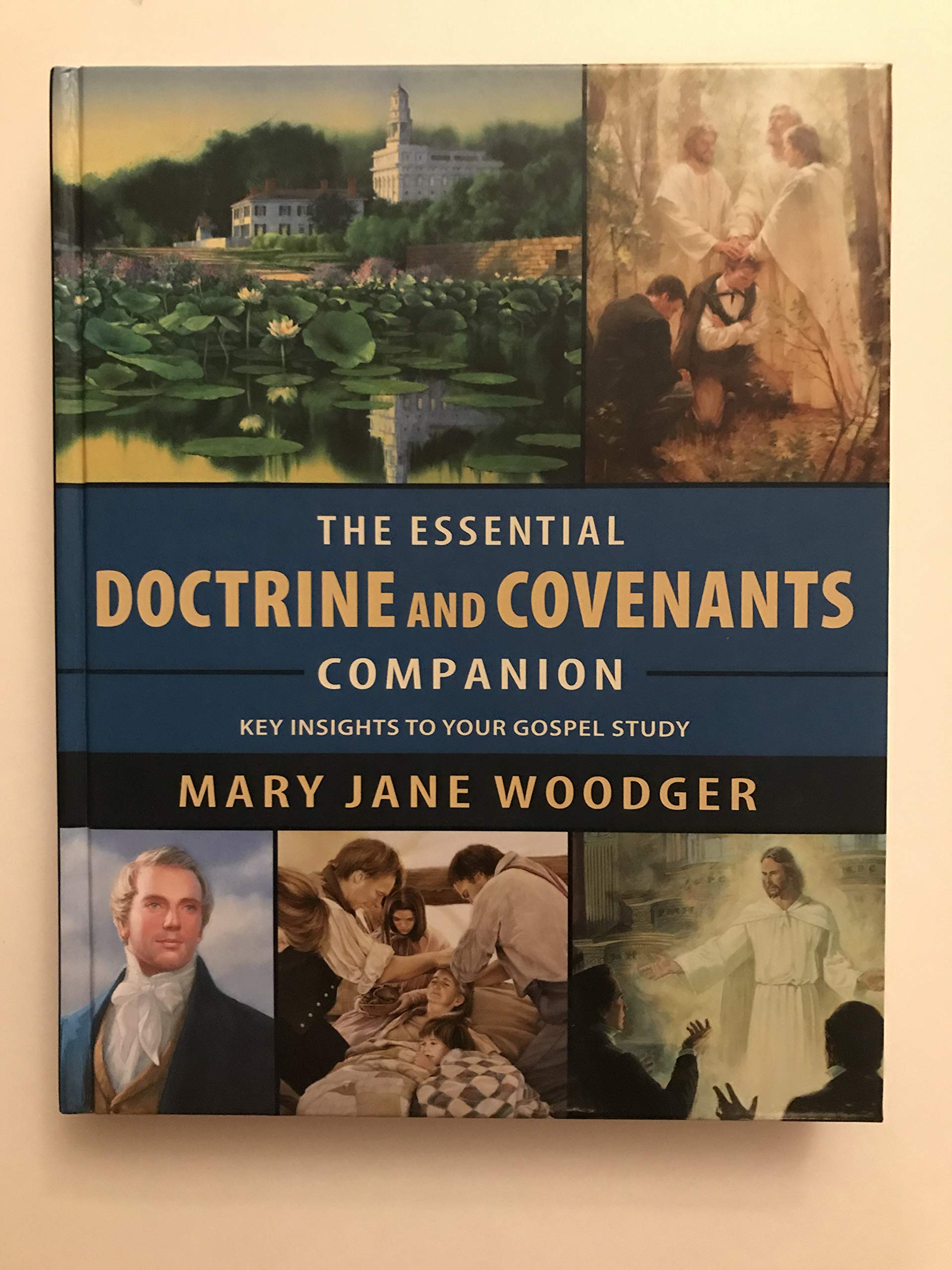 The Essential Doctrine and Covenants Companion. Key Insights To Your ...