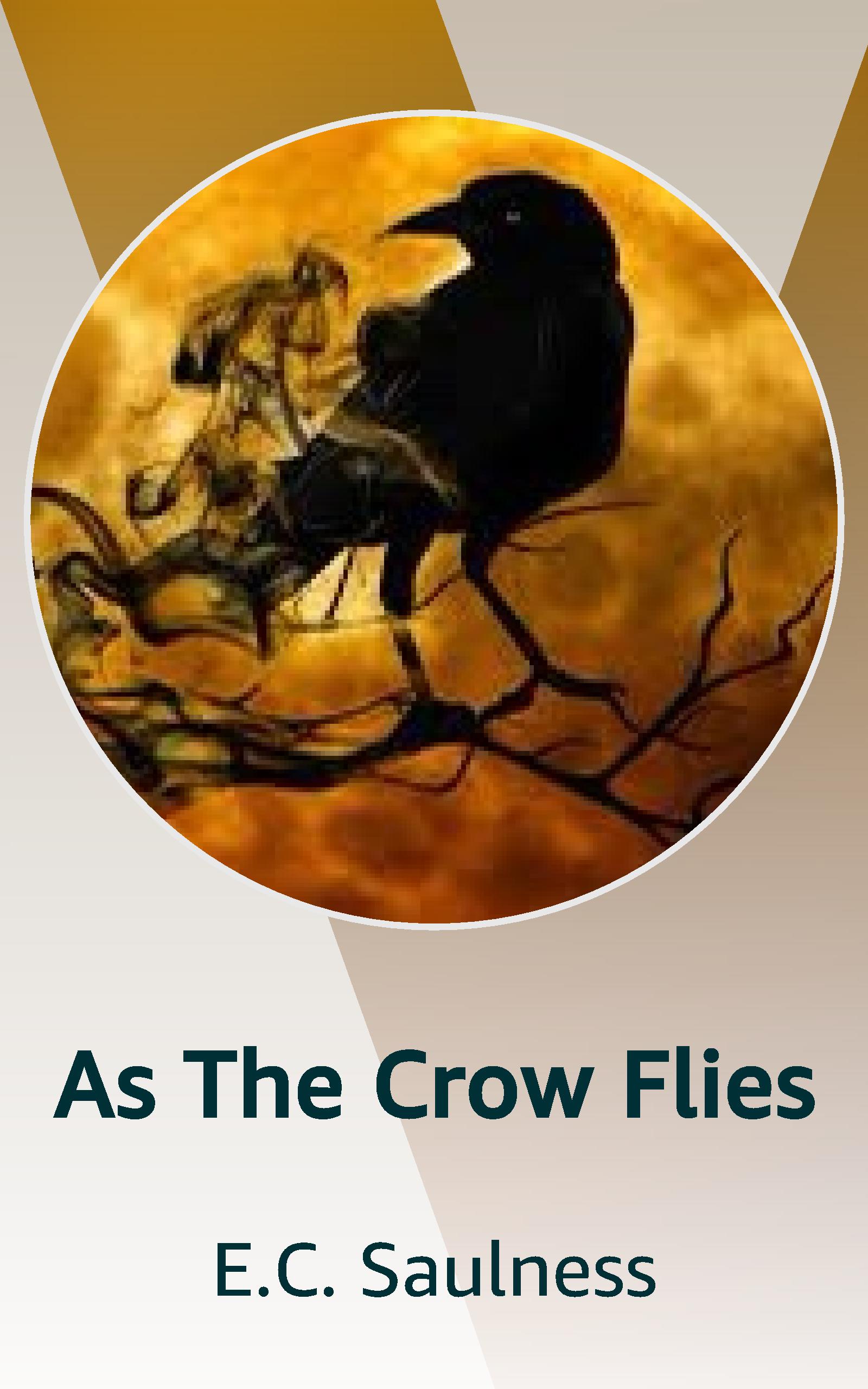 As The Crow Flies by E.C. Saulness | Goodreads