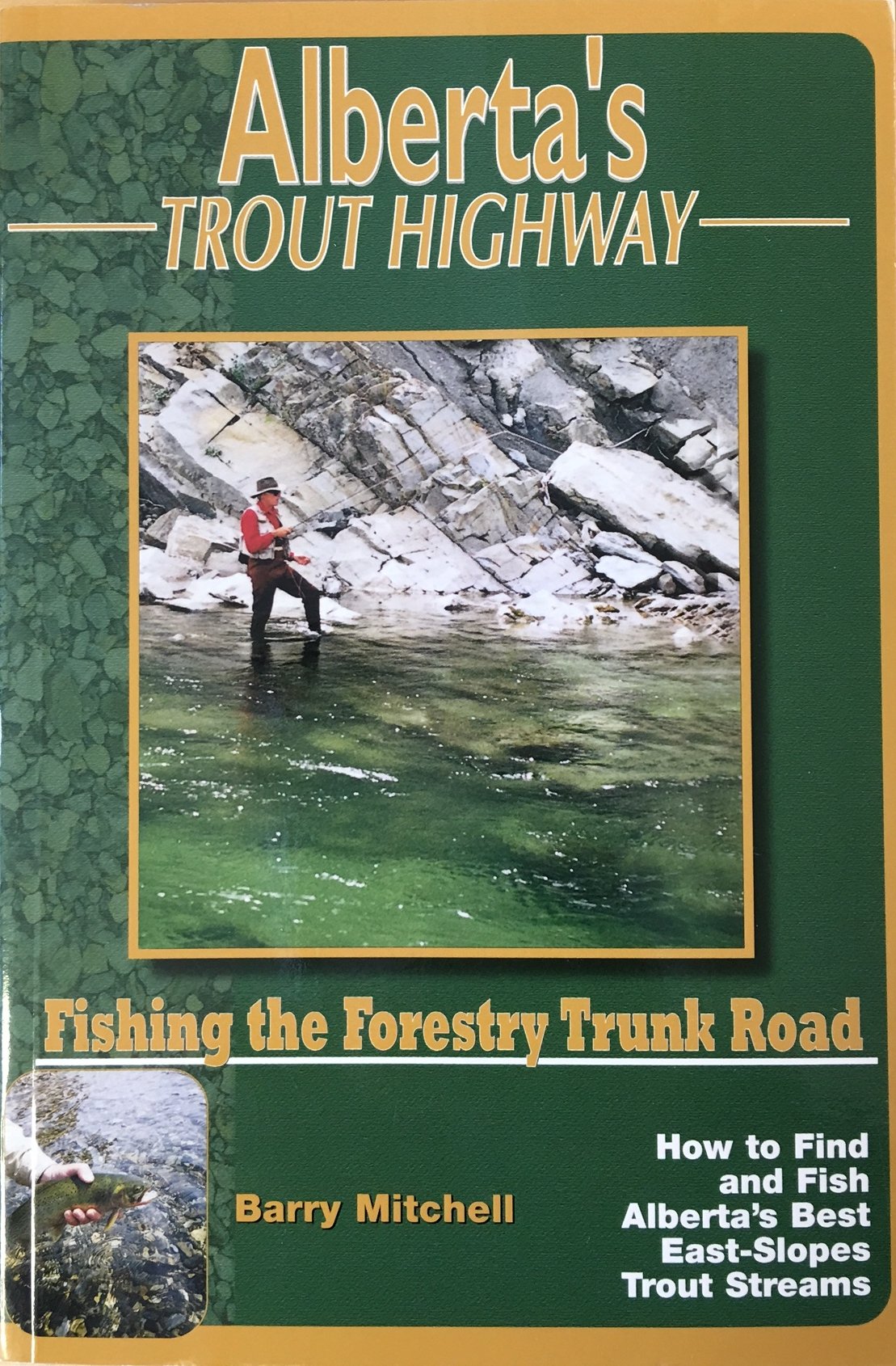 Alberta's Trout Highway : Fishing the Forestry Trunk Road --2001 ...