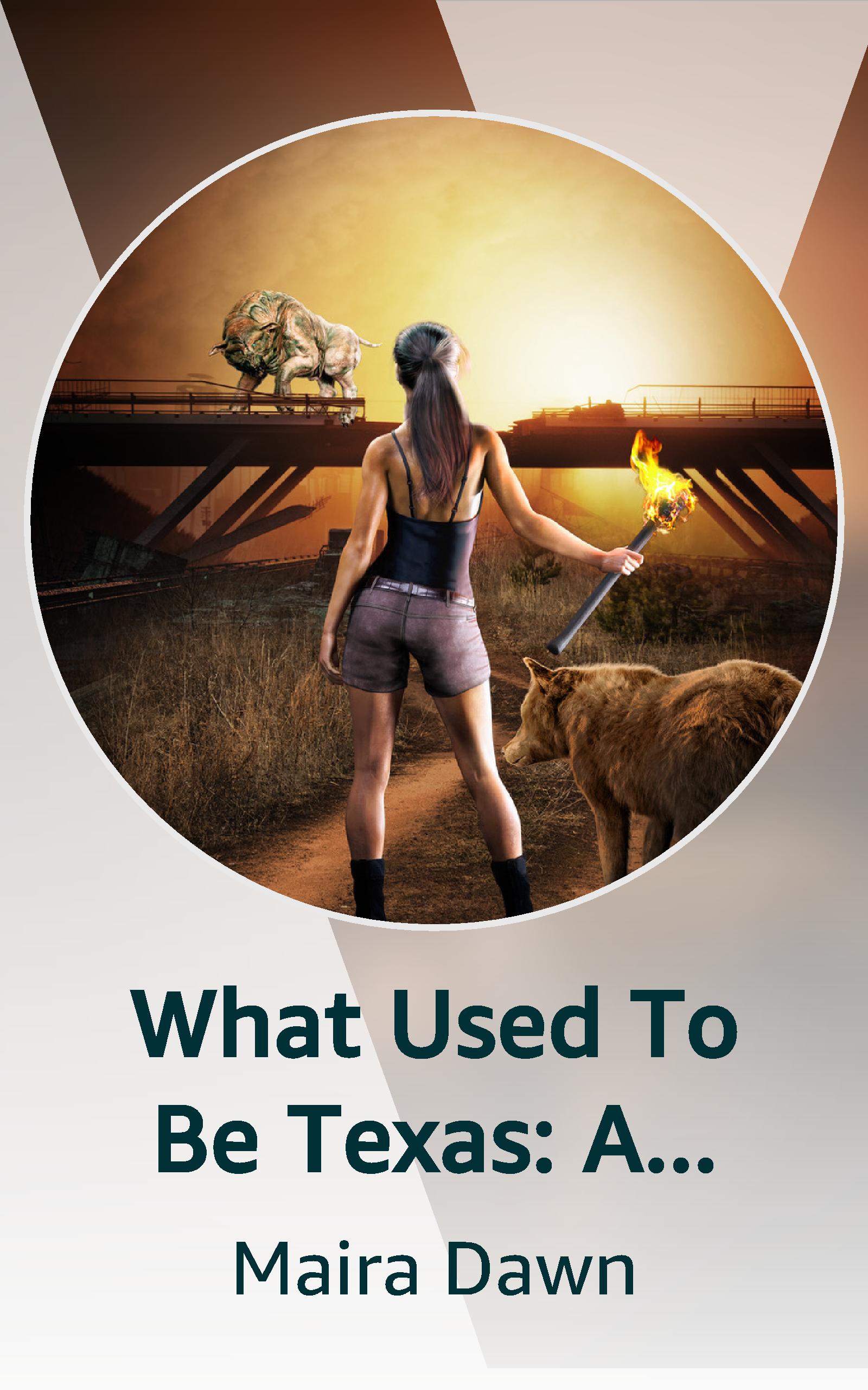 What Used To Be Texas: A Post-apocalyptic Thriller by Maira Dawn ...