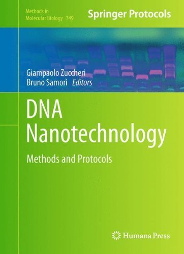 DNA Nanotechnology: Methods and Protocols (Methods in Molecular Biology ...