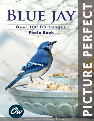 Blue Jay: Picture Perfect Photo Book by Our World | Goodreads