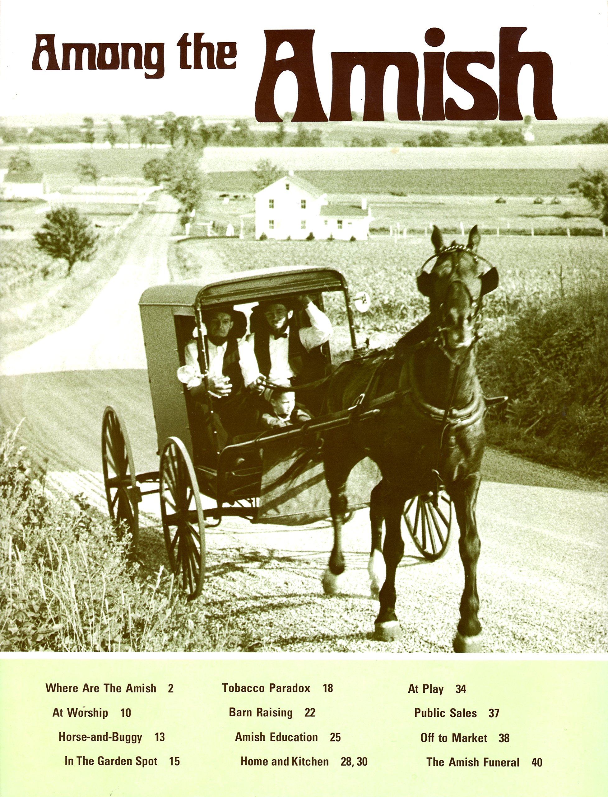 Among the Amish by Melvin J. Horst | Goodreads