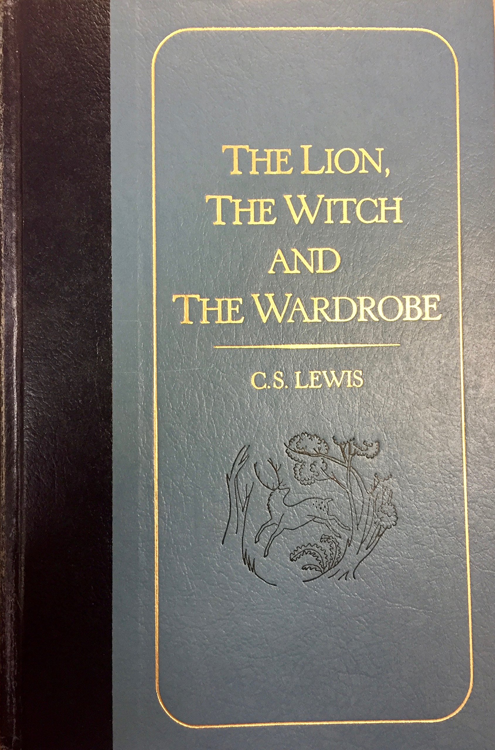 The Lion, the Witch and the Wardrobe: A Story for Children by C.S ...