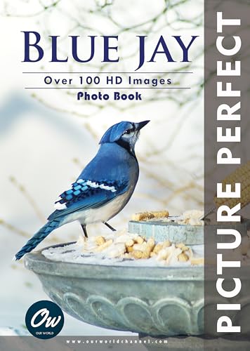 Blue Jay: Picture Perfect Photo Book by Our World | Goodreads