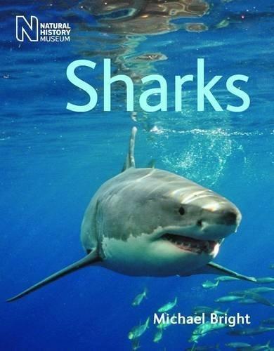 Sharks by Michael Bright (2011-10-14) by Michael Bright | Goodreads