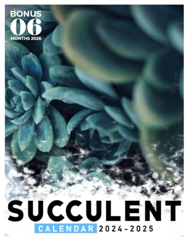 Succulent Calendar 2024 - 2025: Three Years Calendar, 30 Images of ...