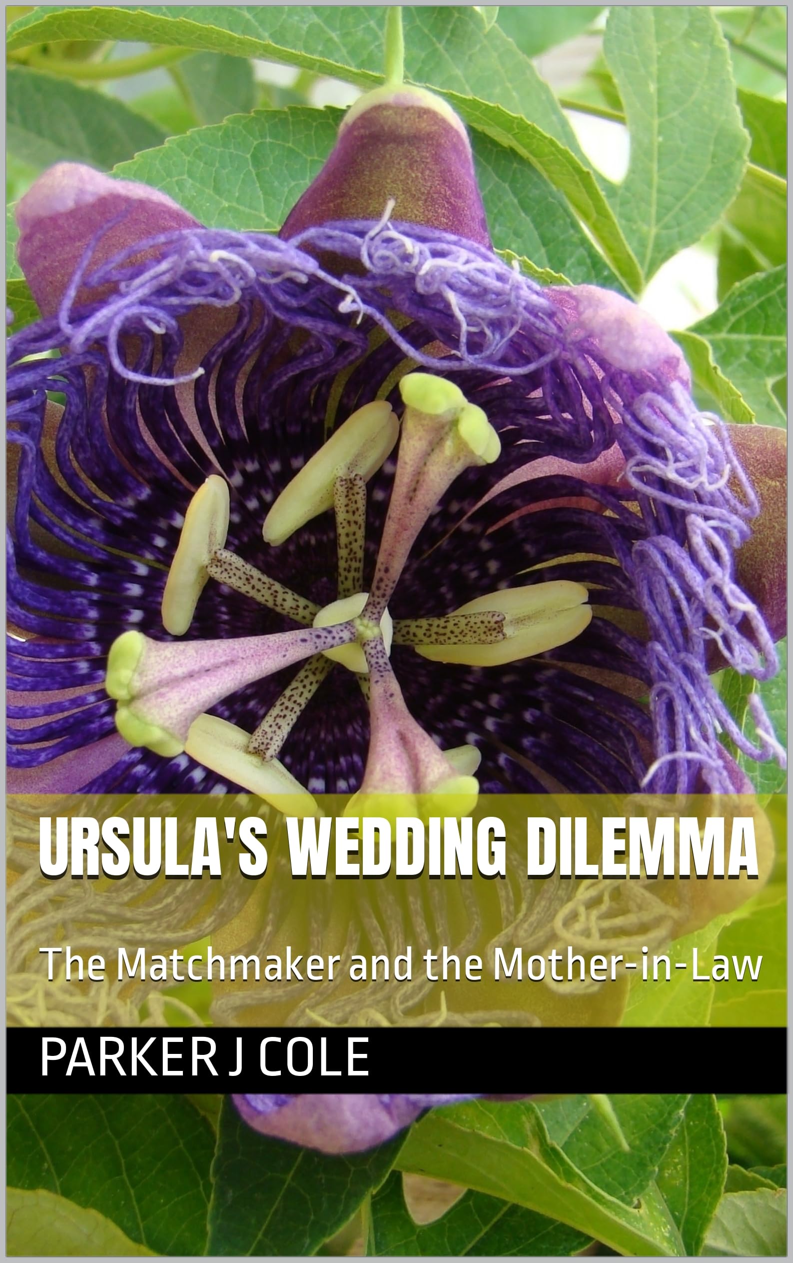 Ursula's Wedding Dilemma: The Matchmaker and the Mother-in-Law by ...