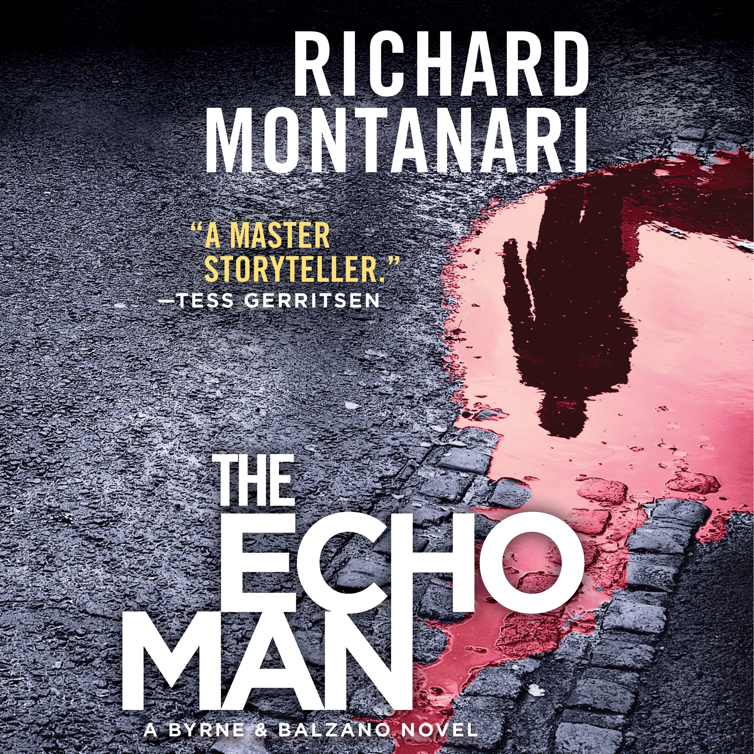 The Echo Man: A Novel of Suspense by Richard Montanari | Goodreads