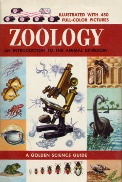 Zoology: An Introduction to the Animal Kingdom by R. Will Burnett ...