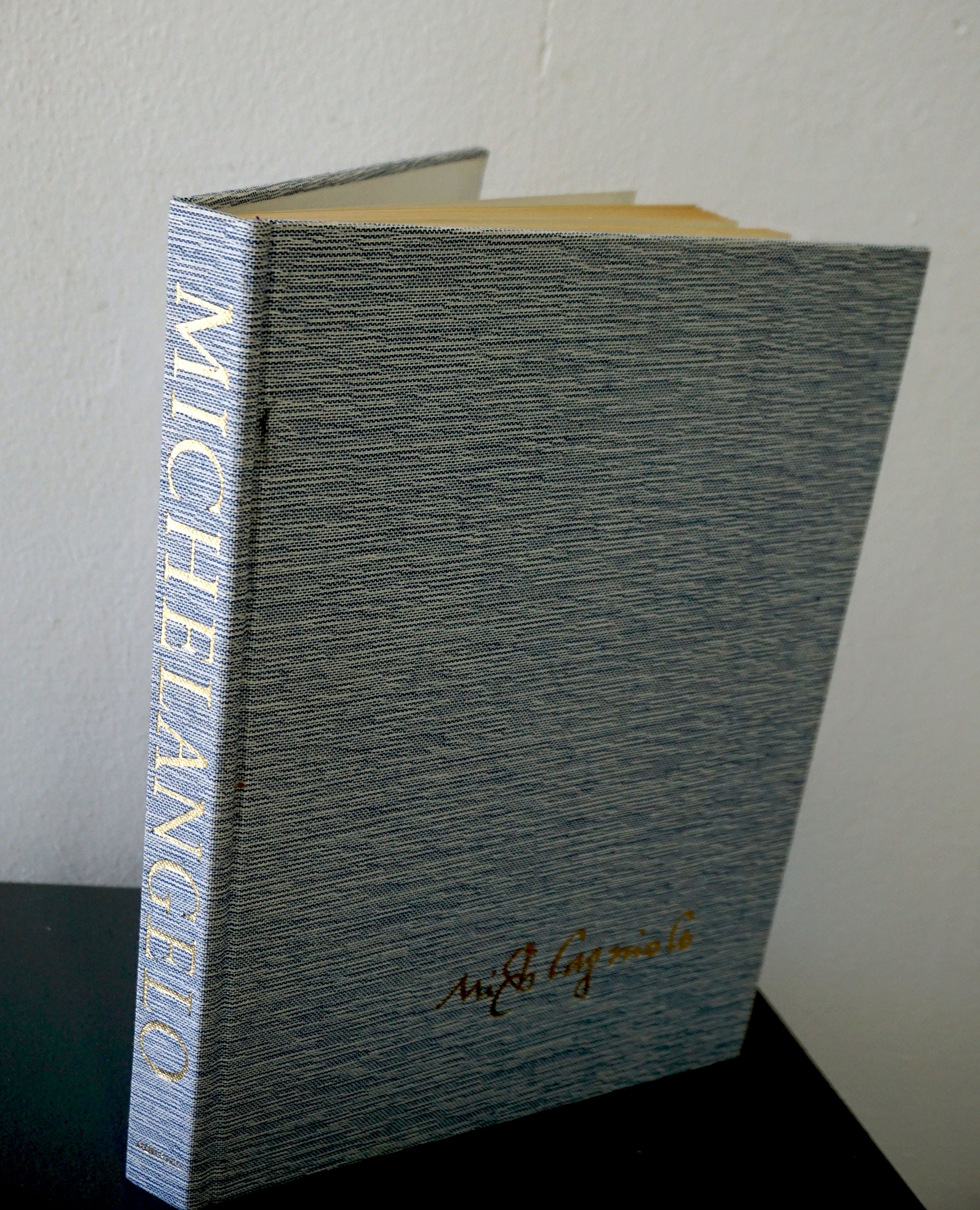 Michelangelo by Frederick Hartt | Goodreads