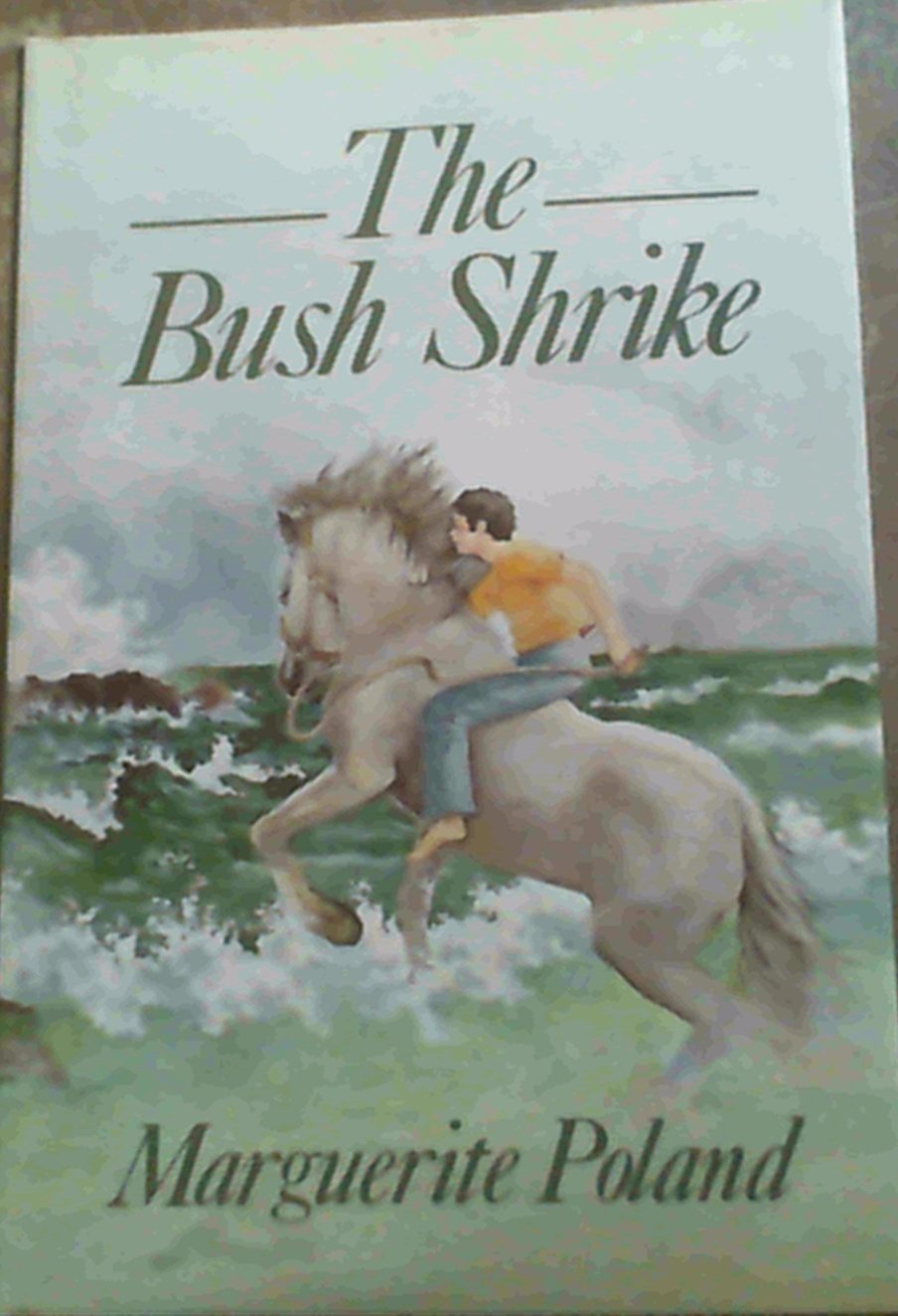 The bush shrike by Marguerite Poland | Goodreads