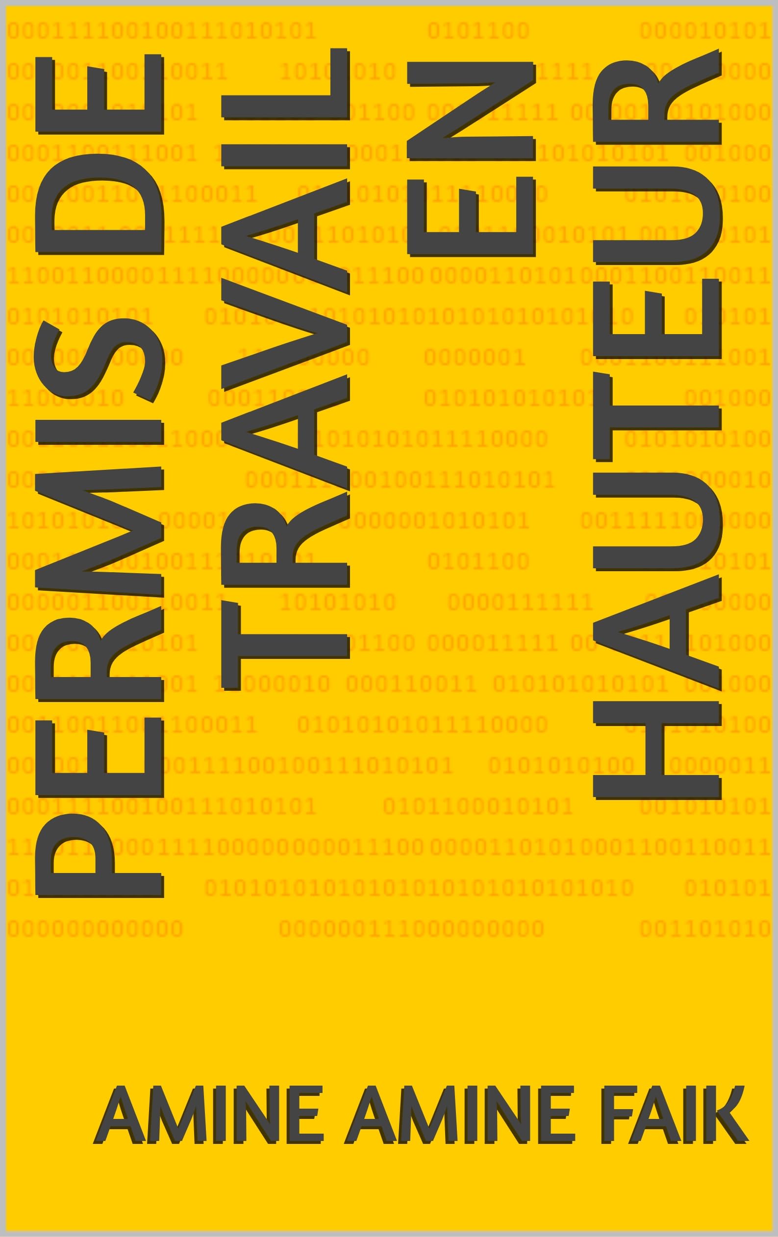 PERMIS DE TRAVAIL EN HAUTEUR (French Edition) by AMINE AMINE FAIK ...