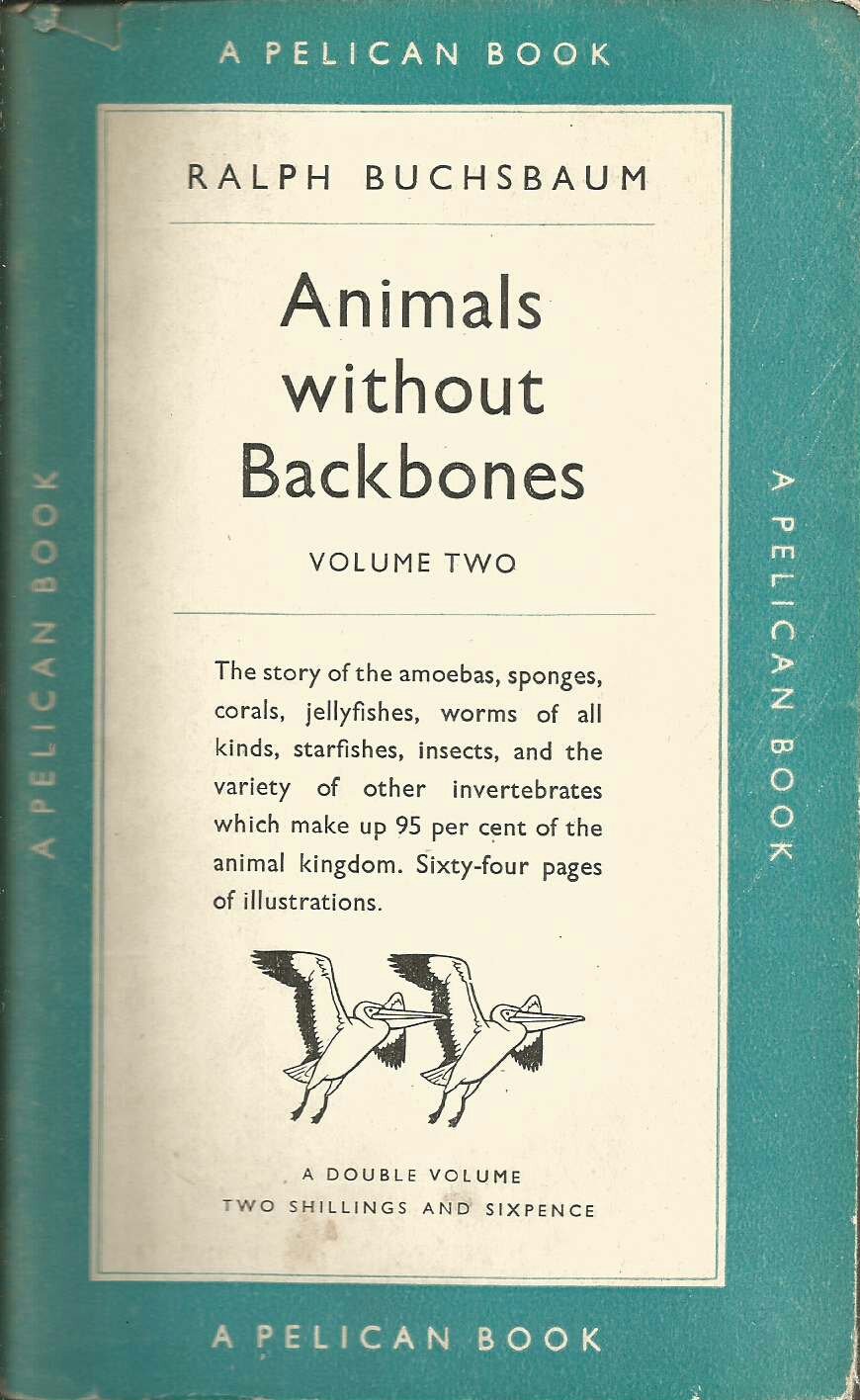 Animals without backbones;: An introduction to the invertebrates, by ...