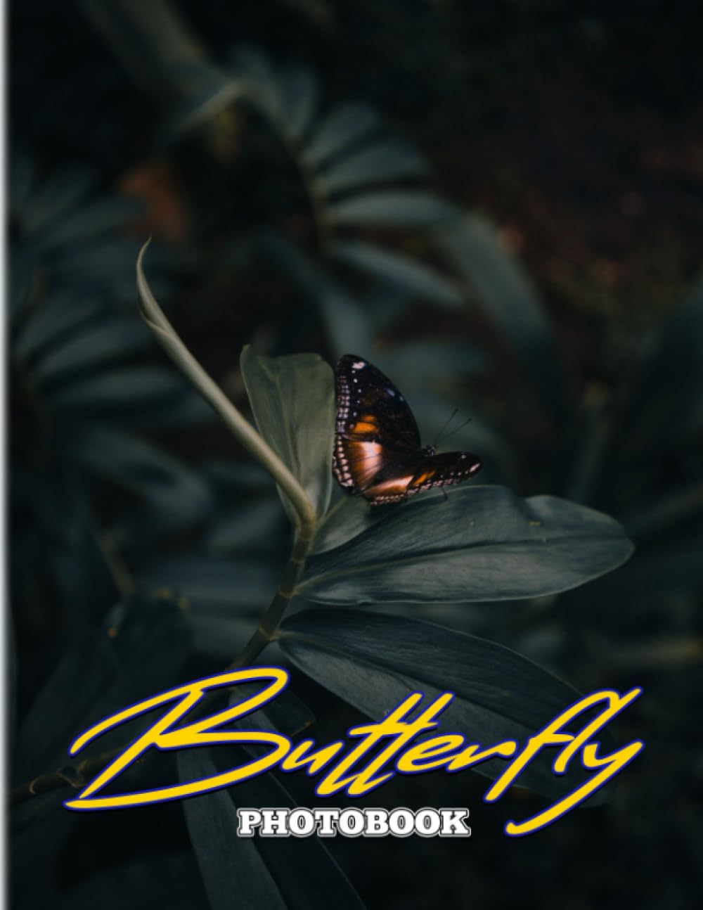 Butterfly and Moths Photobook: Colorful Animal with 40 Illustrations ...