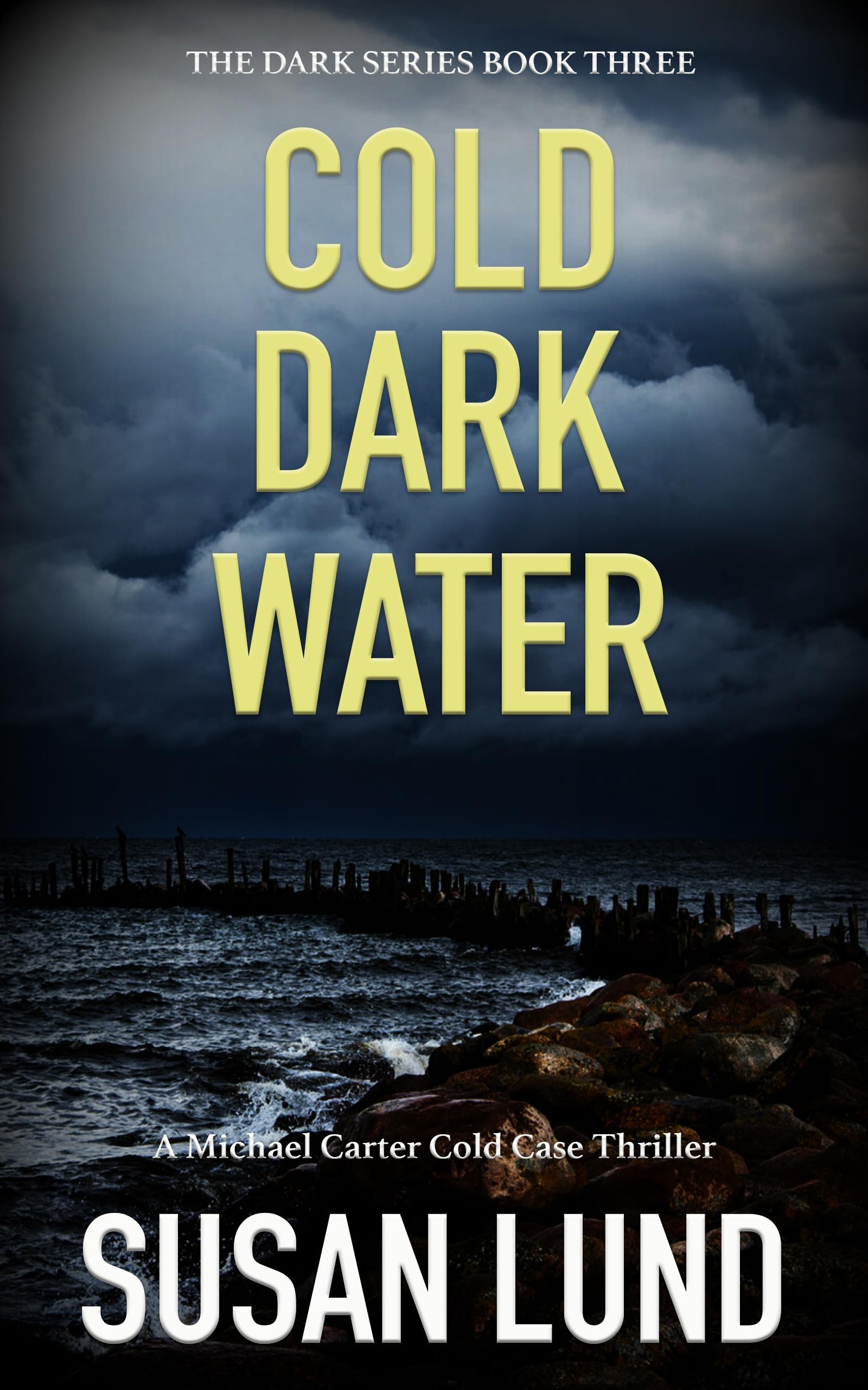 Cold Dark Water: A Michael Carter Cold Case Thriller by Susan Lund ...