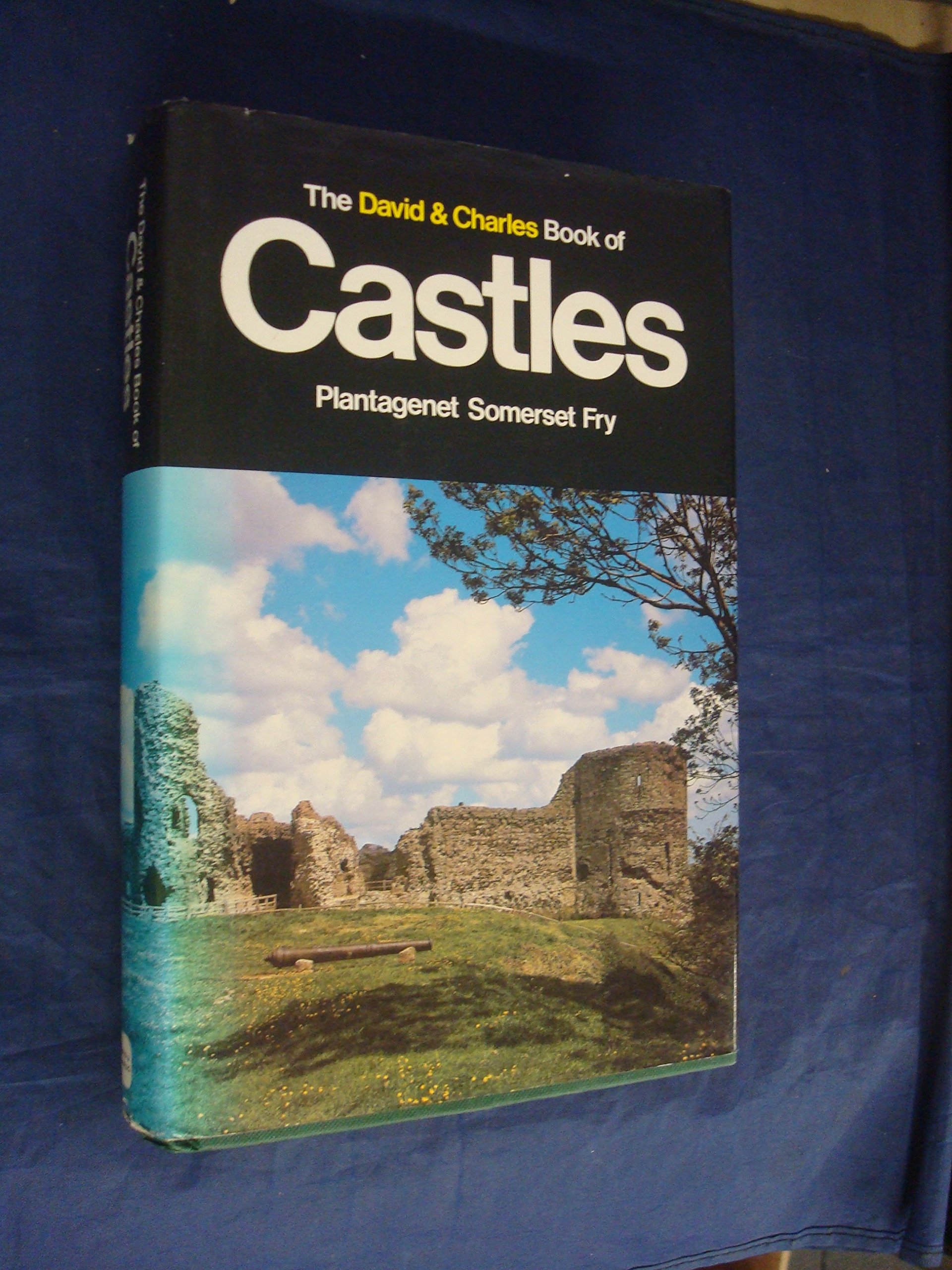 David and Charles Book of Castles by Peter Somerset Fry | Goodreads