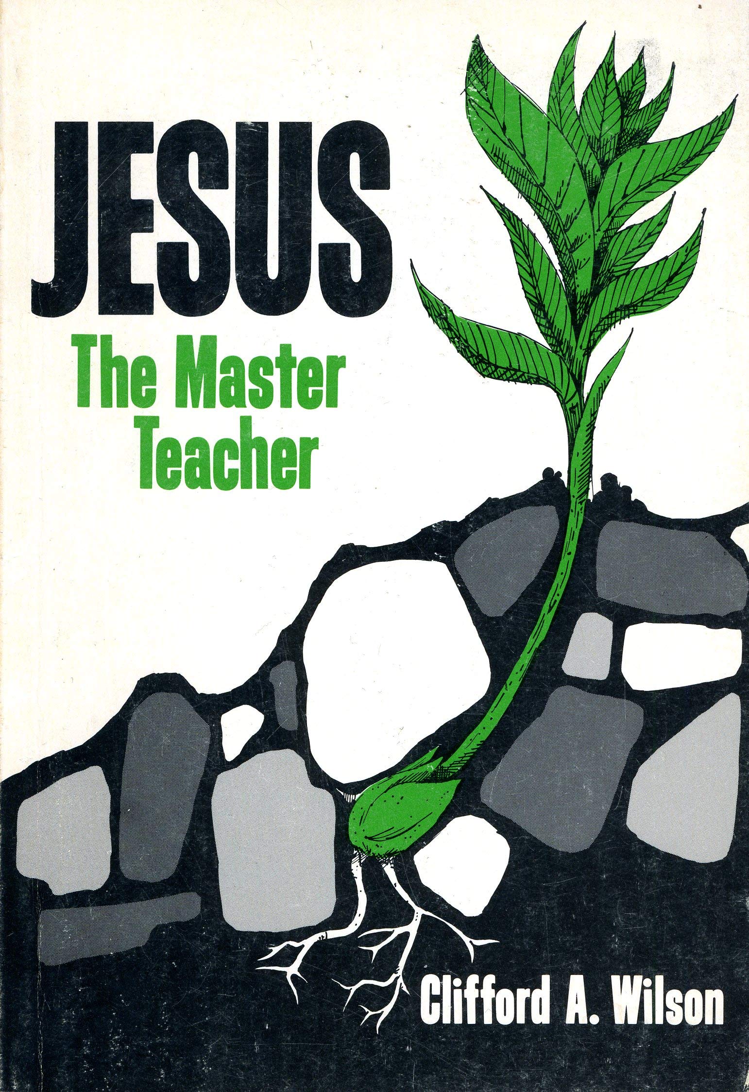 Jesus, the Master Teacher by Clifford A. Wilson | Goodreads