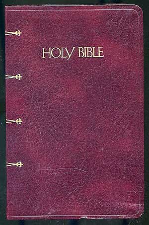 The New American Bible: Translated from the Original Languages with ...