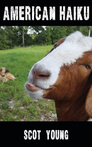 American Haiku by Scot Young | Goodreads